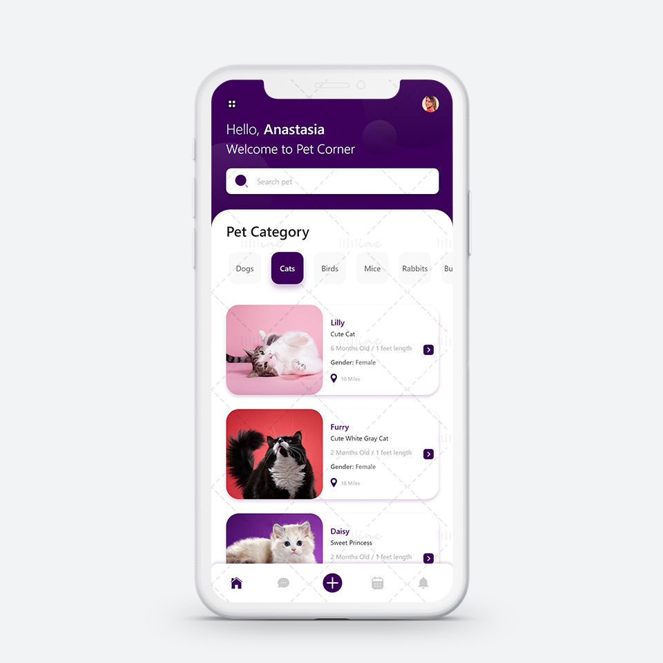 Pet Adoption App UI Dark Purple Template Pet Adoption App UI Dark Purple Template