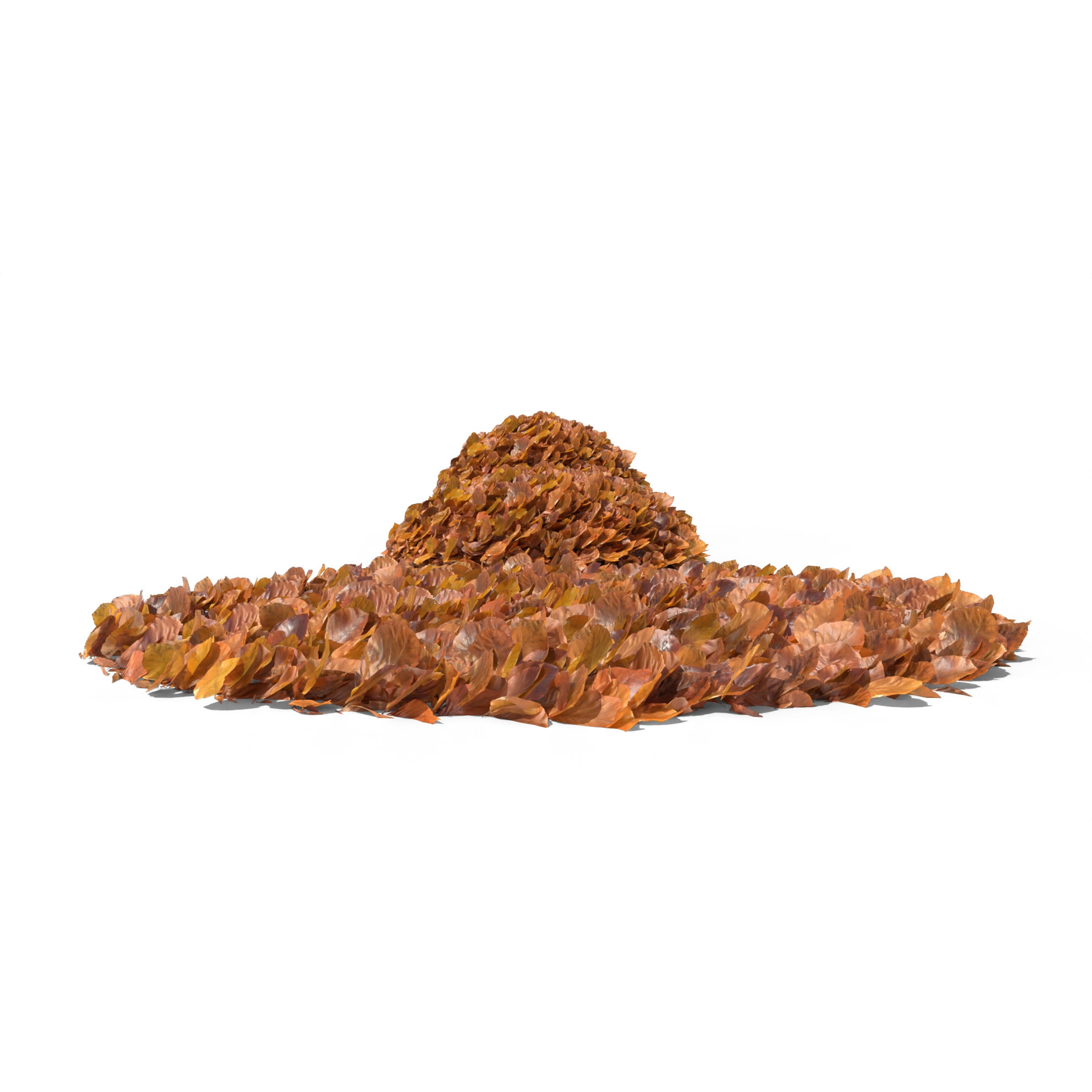 Beech Leaf Pile 3D Model Beech Leaf Pile 3D Model