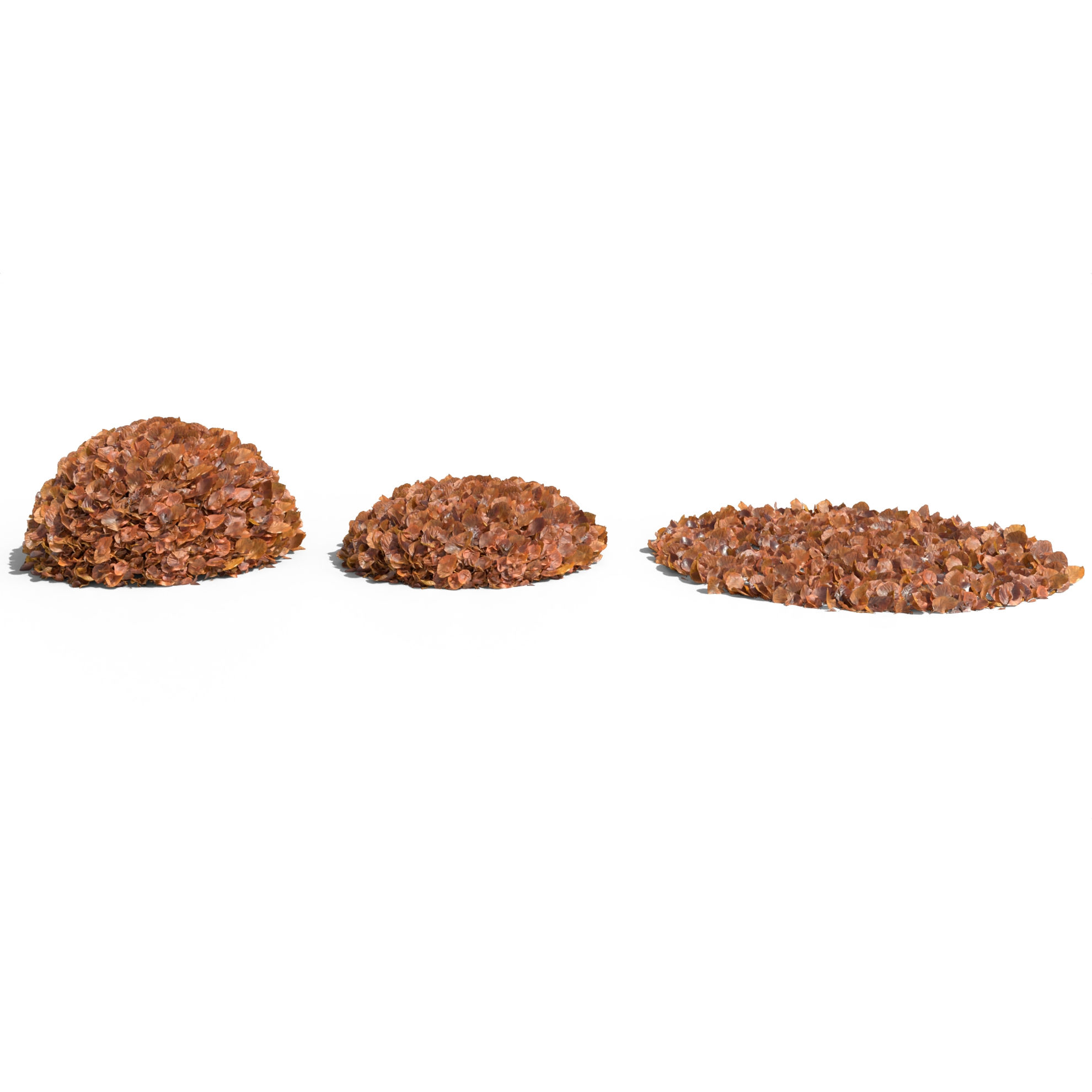 Beech Leaf Pile 3D Model Beech Leaf Pile 3D Model