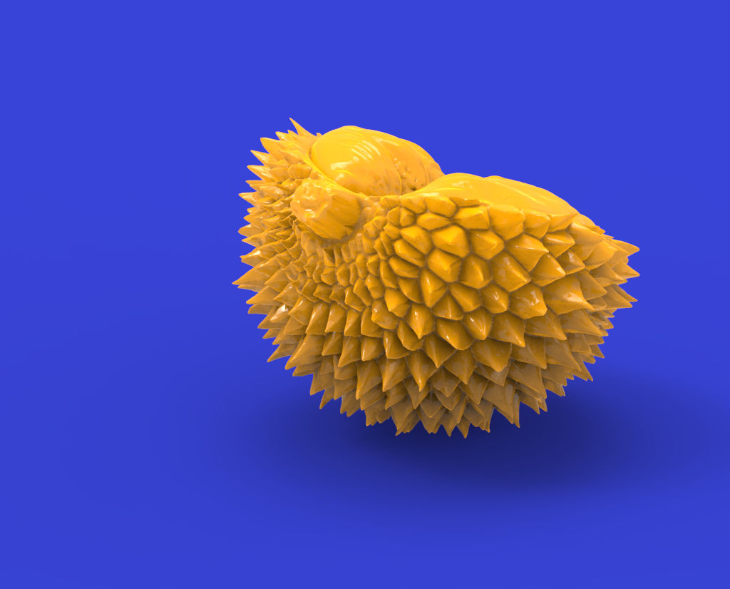 Durian 3d Print Model