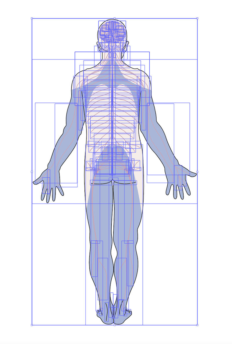 Peripheral neuropathy vector scientific illustration Peripheral neuropathy vector scientific illustration